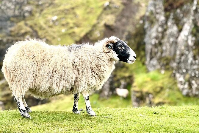 Isle of Skye From Inverness Private Tour - Meet Your Guide: Niall