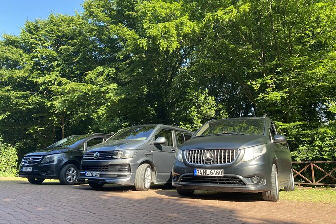 Istanbul Airport and Hotel Transfer - Accessibility and Participation