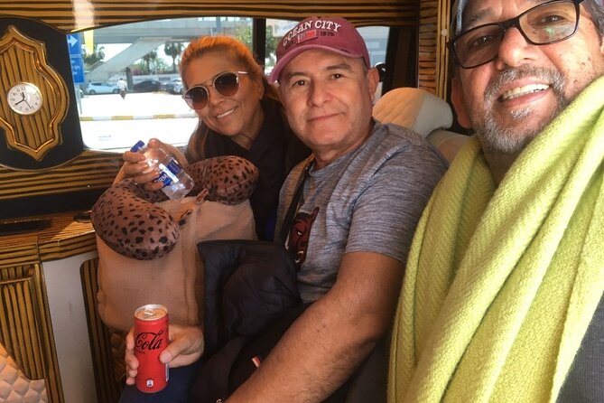 Istanbul Airport Transfer Private SEDAN - VAN or MINIBUS - Key Points