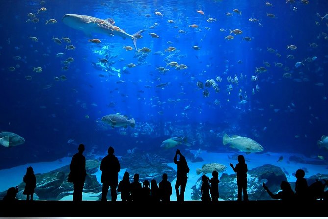Istanbul Aquarium and Aqua Florya Independent Shopping Trip - Dining and Culinary Offerings