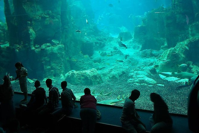 Istanbul Aquarium and Aqua Florya Independent Shopping Trip - Transportation and Logistics Arrangements