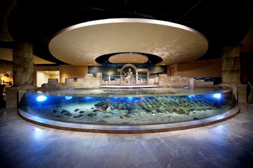 Istanbul Aquarium and Aqua Florya Shopping Mall Tour - What to Expect from the Tour