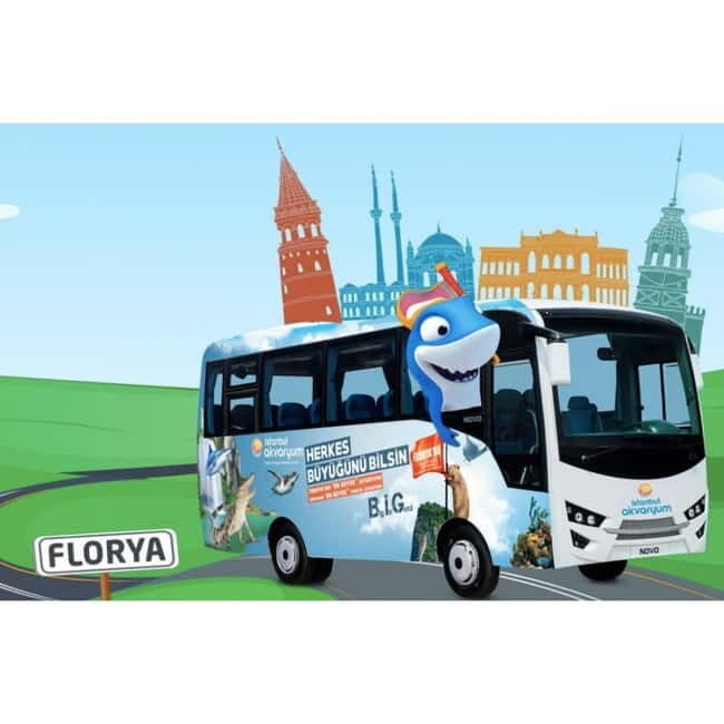 Istanbul: Aquarium Ticket with Shuttle Bus from Sultanahmet - The Experience Inside: Highlights and Practicalities