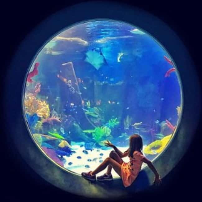 Istanbul: Aquarium Ticket with Shuttle Bus from Sultanahmet - Final Thoughts