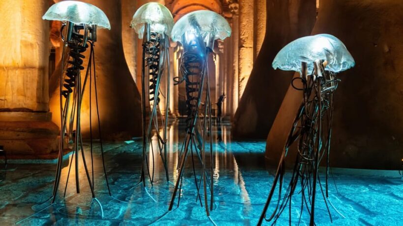 Istanbul: Basilica Cistern Guided Tour - The Experience at a Glance