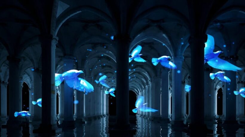 Istanbul: Basilica Cistern Skip-the-Ticket-Line Guided Tour - Key Points