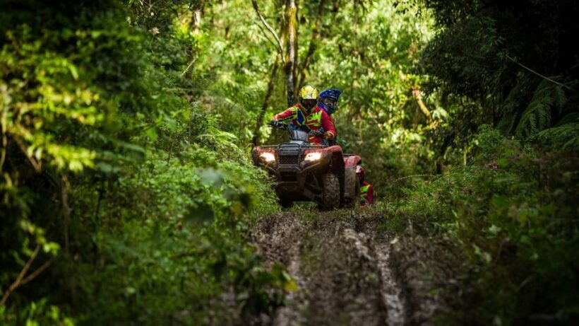Istanbul: Belgrad Forest ATV Tour with Ziplining Option - Key Points