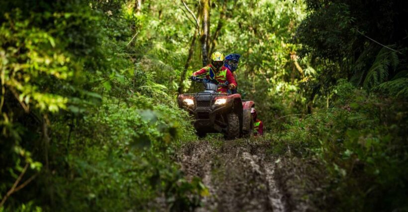 Istanbul: Belgrad Forest ATV Tour with Ziplining Option - What to Expect from the Tour