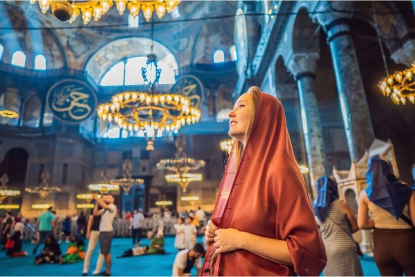 Istanbul: Blue Mosque and Hagia Sophia Tour w/Entry Tickets - An In-Depth Look at the Blue Mosque and Hagia Sophia Tour
