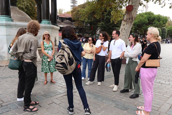Istanbul Blue Mosque and Hagia Sophia Tour With Tickets - Group Size and Accessibility