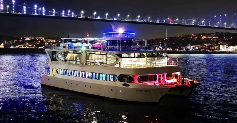 Istanbul: Bosphorus Cruise with Dinner Show - The Experience: What to Expect on the Bosphorus Dinner Cruise