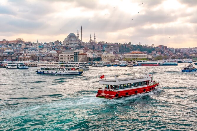 Istanbul Bosphorus Guided Sightseeing Cruise - Accessibility and Additional Info