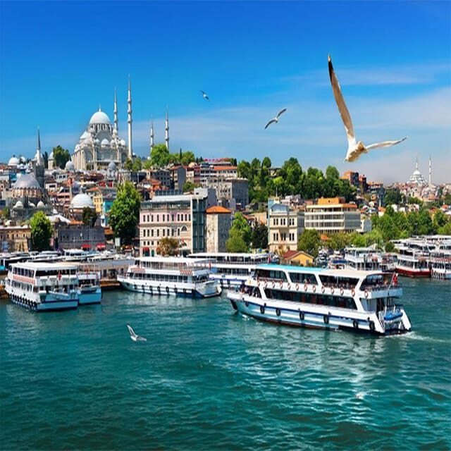Istanbul Bosphorus Morning Cruise Guided Tour - Practical Details