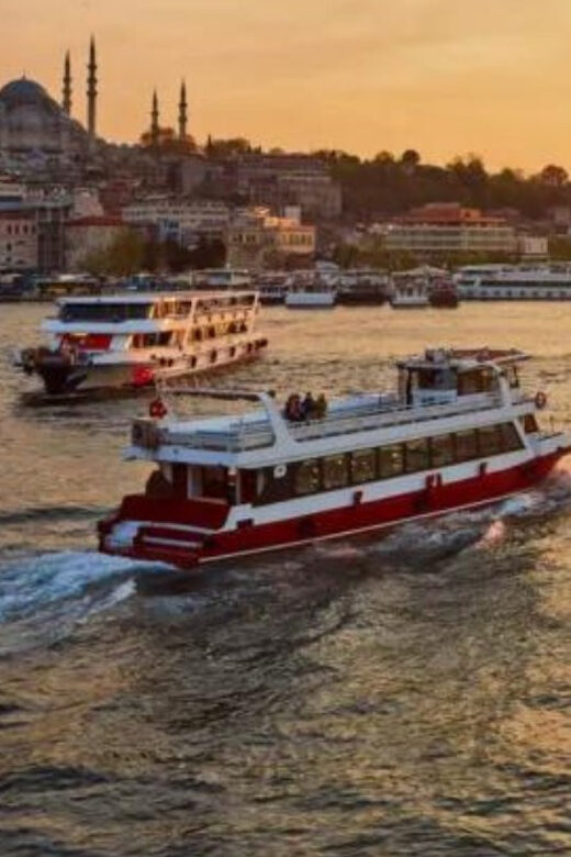 Istanbul: Bosphorus Morning/Sunset Cruise with Optional Stop - The Itinerary: What to Expect