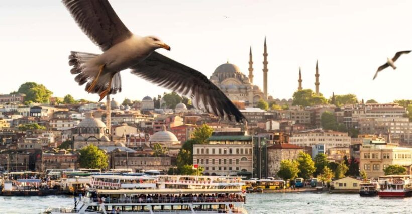 Istanbul: Bosphorus Morning/Sunset Cruise with Optional Stop - Views and Landmarks: What Youll See