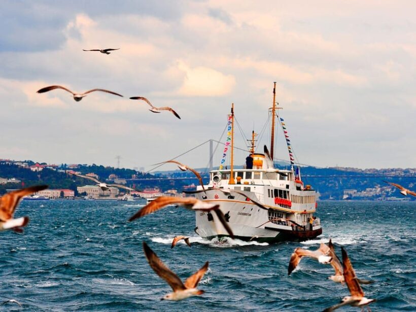 Istanbul: Bosphorus Morning/Sunset Cruise with Optional Stop - Real Traveler Perspectives