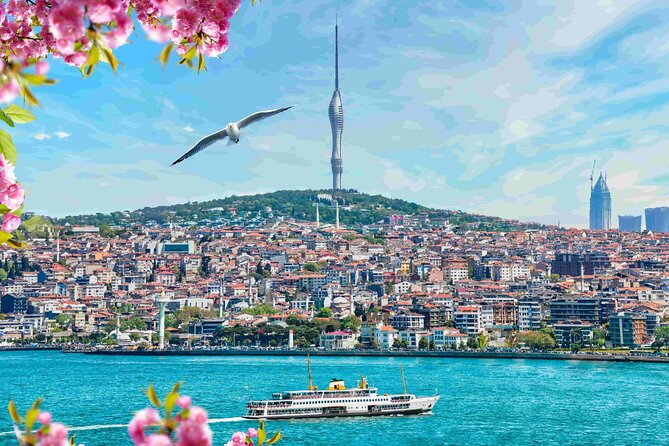 Istanbul Camlica Tower: Private Entry, Transfer & Dine Choices - Exploring the Tower