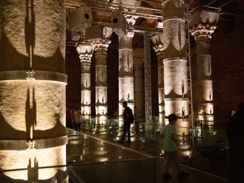 Istanbul: Cistern of Theodosius Entry Ticket and Audio Guide - Who Will Appreciate This Tour?