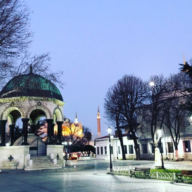 Istanbul: City Highlights Group Tour with Hagia Sophia Entry - An In-Depth Look at the Tour Experience