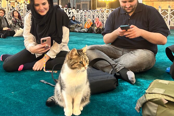 Istanbul City Tour W/ Fast Track Basilica Cistern W/ Small Group - Tour Inclusions and Amenities