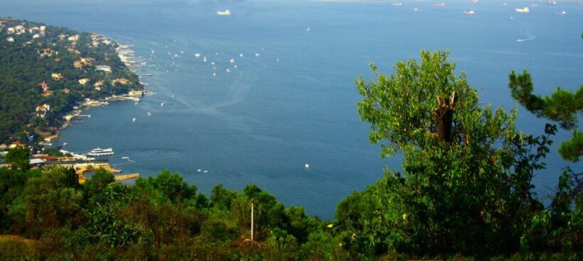 Istanbul: Day Trip to the Princes' Islands - The Itinerary: What to Expect
