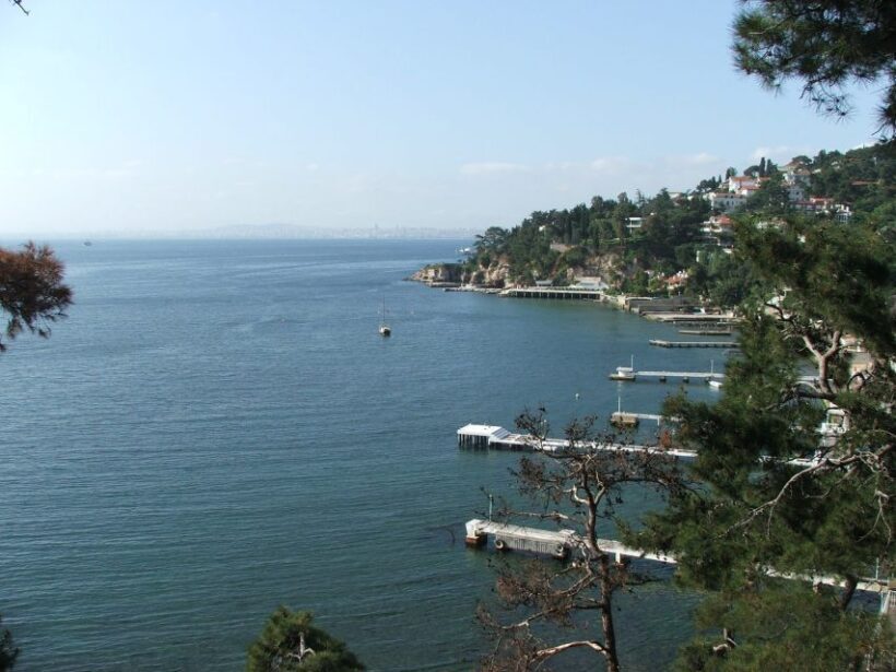 Istanbul: Day Trip to the Princes' Islands - Authentic Experiences and Practical Tips