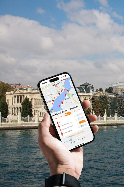 Istanbul: Daytime or Sunset Sightseeing Cruise & Audio Guide - Why Consider This Bosphorus Cruise?