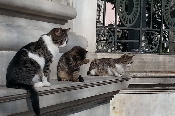 Istanbul Delights: A Journey Through Flavor and History - Taking in the Vibrant Spice Market