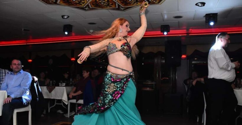 Istanbul: Dinner Cruise with Hotel Transfer and Soft Drinks - An Overview of the Experience