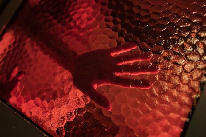 Istanbul: Frankenstein Horror House, Escape Room Game - Thrilling Escape Room Experience