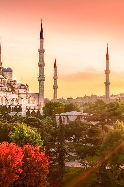 Istanbul: Full Day Byzantine / Ottoman Relics Tour - Who This Tour Is Best For