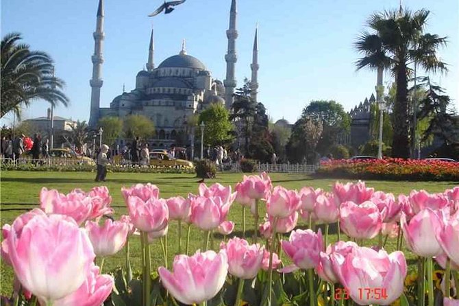 Istanbul: Full Day Private Guided Tour of Iconic Landmarks - Practical Details and Tips
