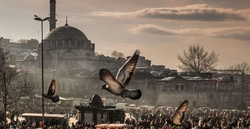 Istanbul: Full-Day Private Guided Tour - A Deep Dive into the Experience