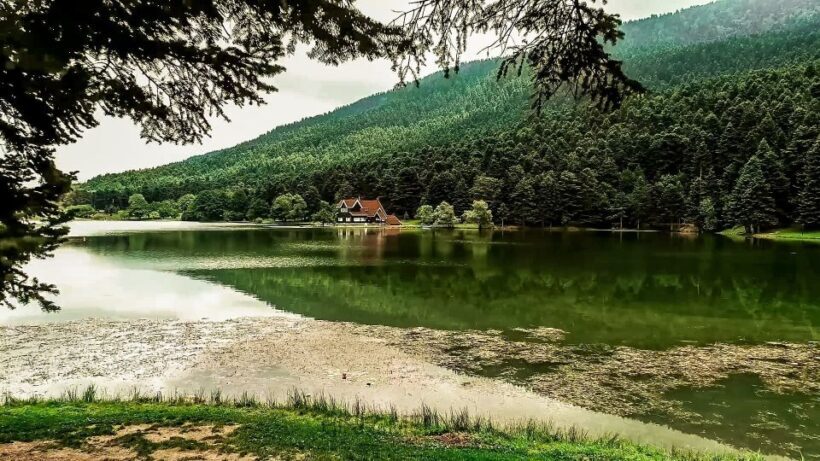 Istanbul: Full-Day Sapanca Lake and Masukiye Tour with Lunch - Transportation and Group Size