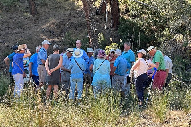 Istanbul Gallipoli Experienced Daily Tour - Exploring Gallipolis Battlefields