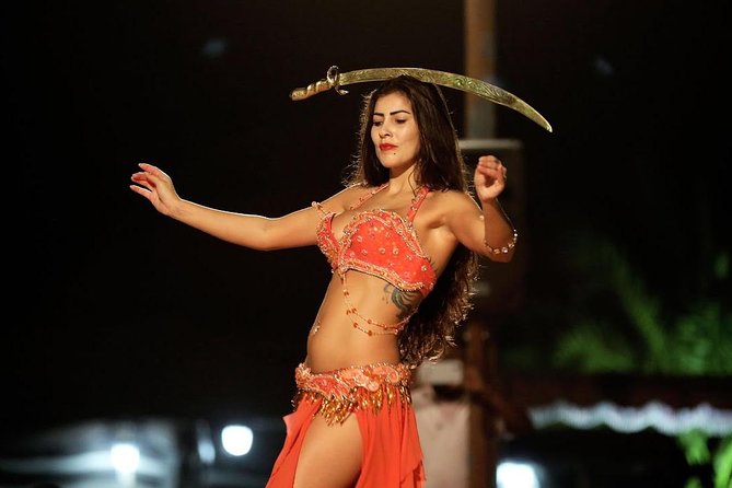 Istanbul GBosphorus Dinner Cruise and Belly-Dancer Show - Dining Experience