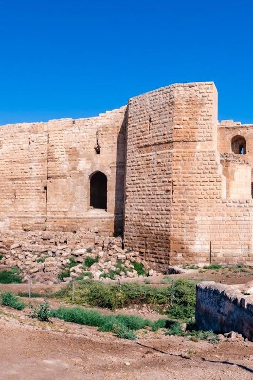 Istanbul: Gobeklitepe and Harran Day Trip - Who Will Love This Tour?
