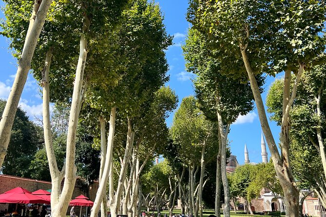 Istanbul Historical Wonders Full-Day Private Guided City Tour - Marveling at the Hagia Sophia
