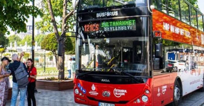 Istanbul Hop On Hop Off Bus24 Hours Ticket - Who Will Love This Tour?