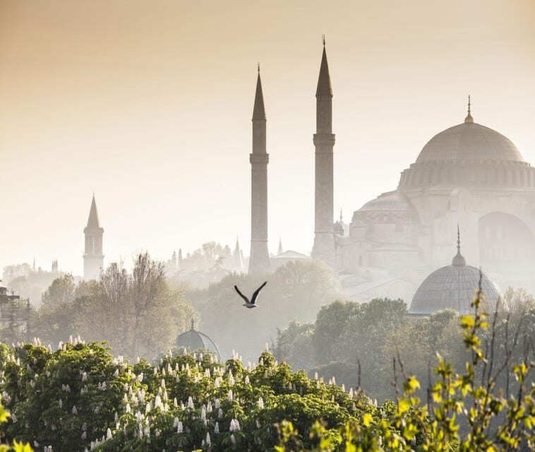 Istanbul: Luxury Istanbul Old City Private Day Tour - Practical Considerations