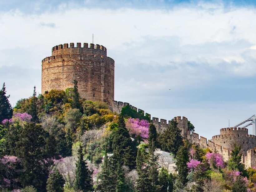 Istanbul: Morning or Sunset Cruise with Guide and Snacks - What to Expect from Your Bosphorus Cruise
