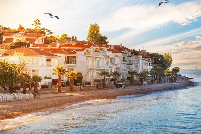 Istanbul Princes Island Tour With Lunch & Hotel Transfer - Island Exploration