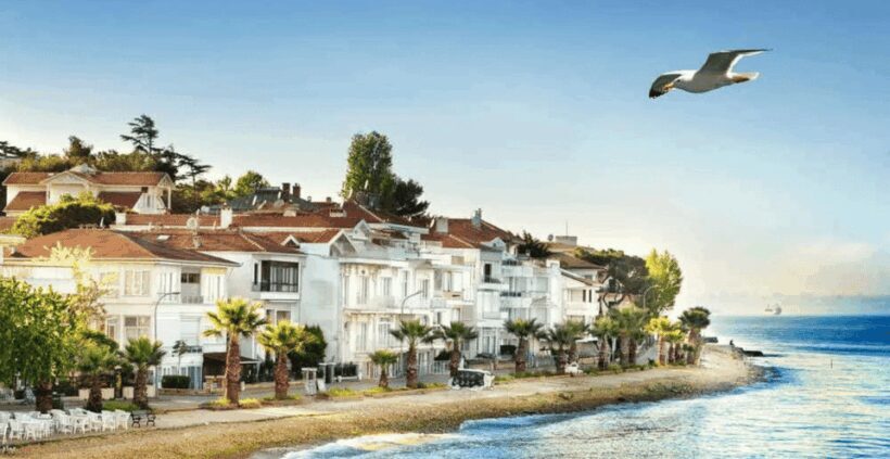 Istanbul: Princes Islands Tour with Heybeliada and Büyükada - Who is This Tour Best For?