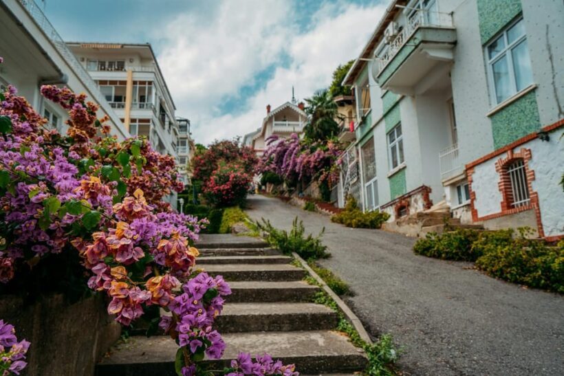 Istanbul: Princes Islands Walking Full-Day Tour - An Authentic Day on the Princes Islands