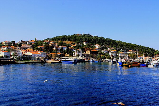 Istanbul Princess Islands Tour Lunch Included - Customer Reviews and Feedback