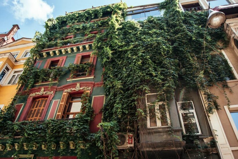 Istanbul: Private Guided Food Tour with 10 Tastings - The Guides and Personal Touch