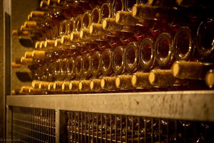 Istanbul: Private Wine Tasting Day Trip to Tekirdag - Key Points