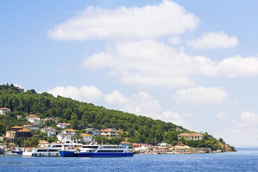 Istanbul: Round-Trip Ferry Tickets to the Princes' Islands - Key Points