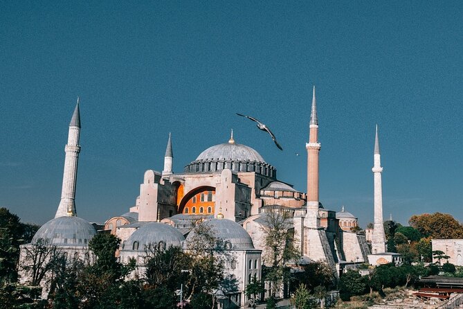 Istanbul Shore Excursion by TRAM: Half Day Private Tour From Port - Customer Experiences and Testimonials