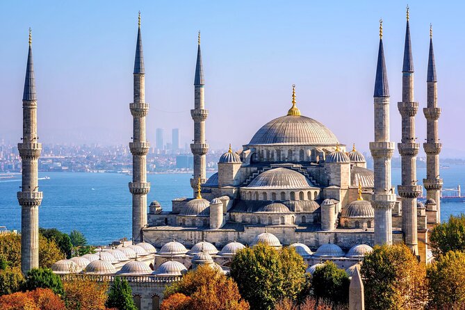 Istanbul Small-Group City and Secret Streets Tour With Guide - Traveler Feedback